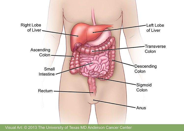 ascending colon malignancy