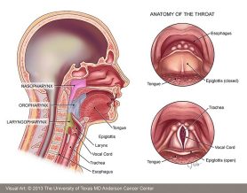 tonsil scc staging