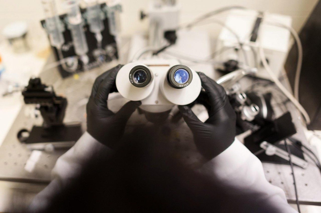 Research in Cancer Systems Imaging | MD Anderson Cancer Center