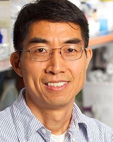 Molecular and Cellular Oncology Events | MD Anderson Cancer Center