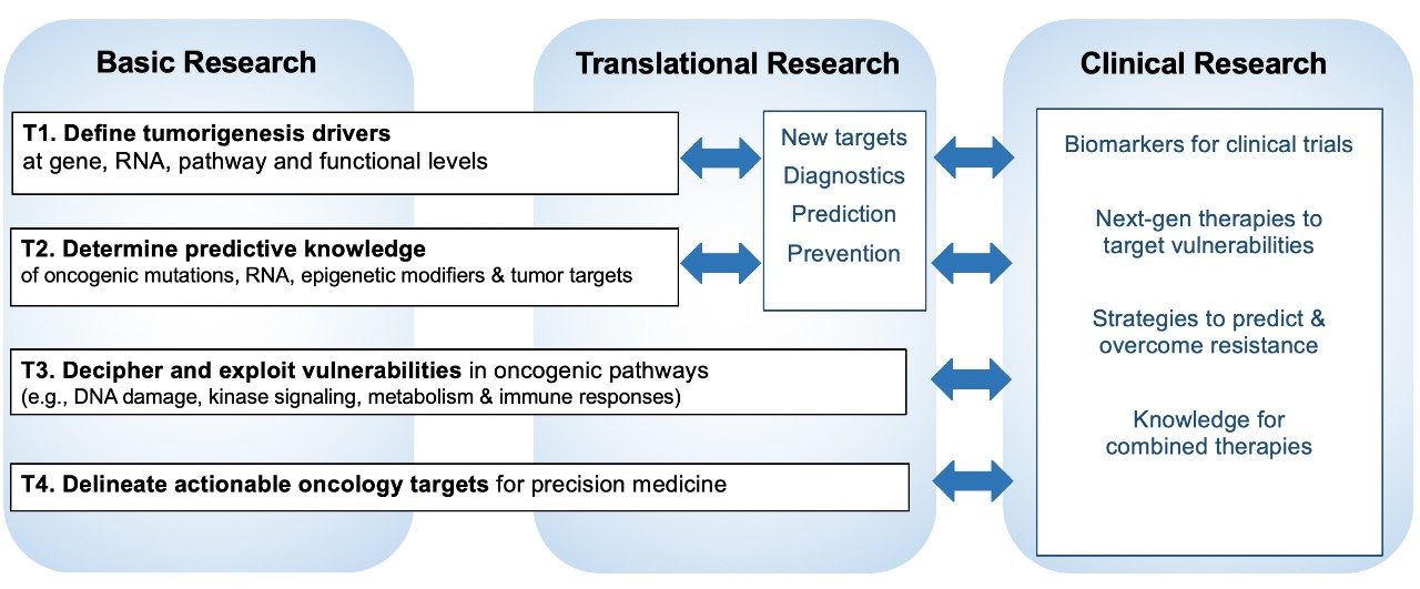 Molecular and Cellular Oncology Research | MD Anderson Cancer Center