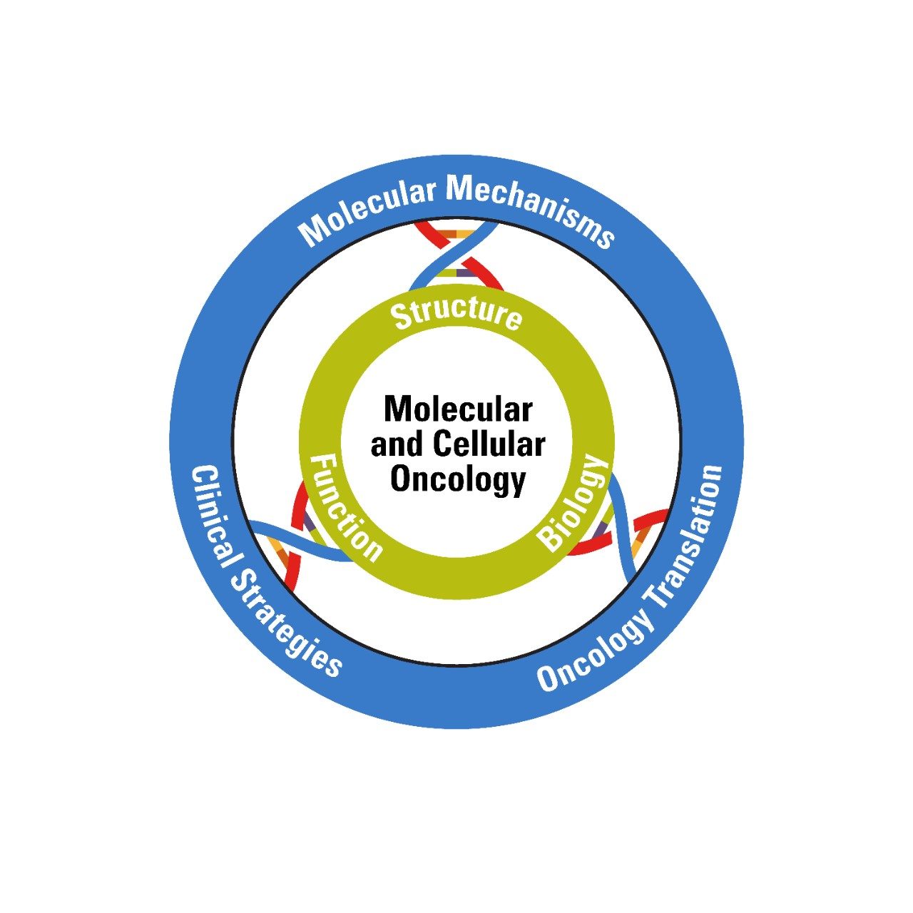 Molecular and Cellular Oncology Research | MD Anderson Cancer Center