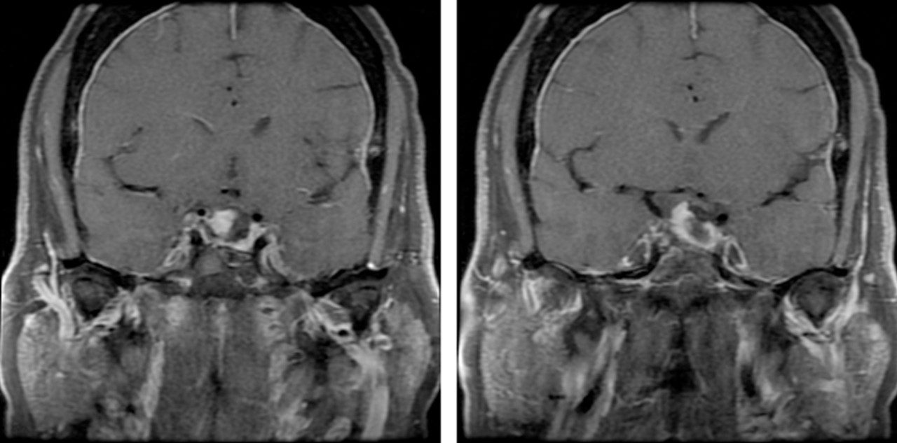 Sections | MD Anderson Cancer Center