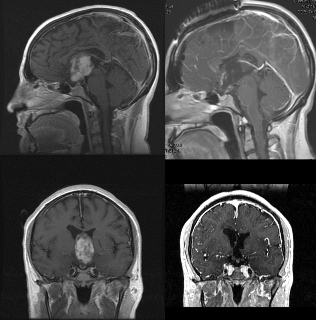 Sections | MD Anderson Cancer Center