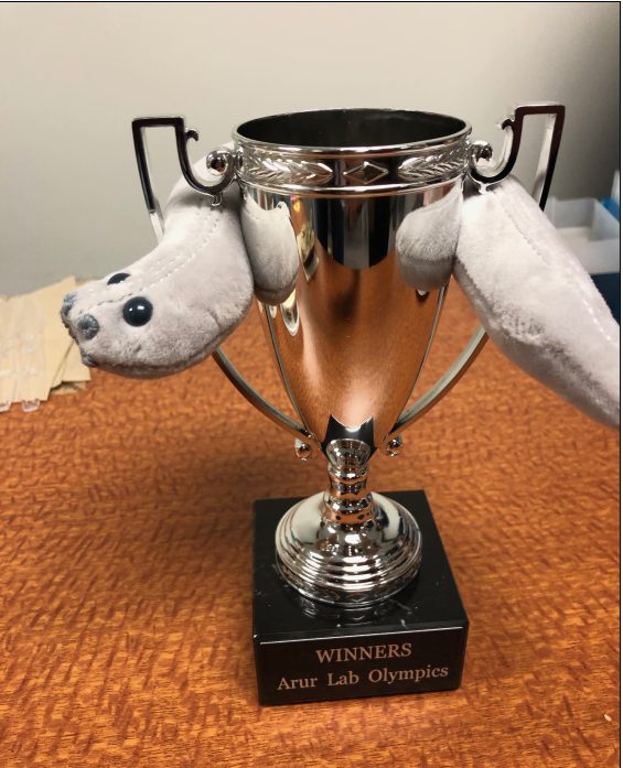 Life in the Arur Lab | MD Anderson Cancer Center