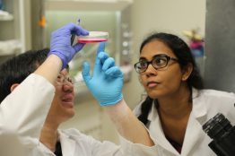 Bedford Lab, Arginine Methylation Biology | MD Anderson Cancer Center