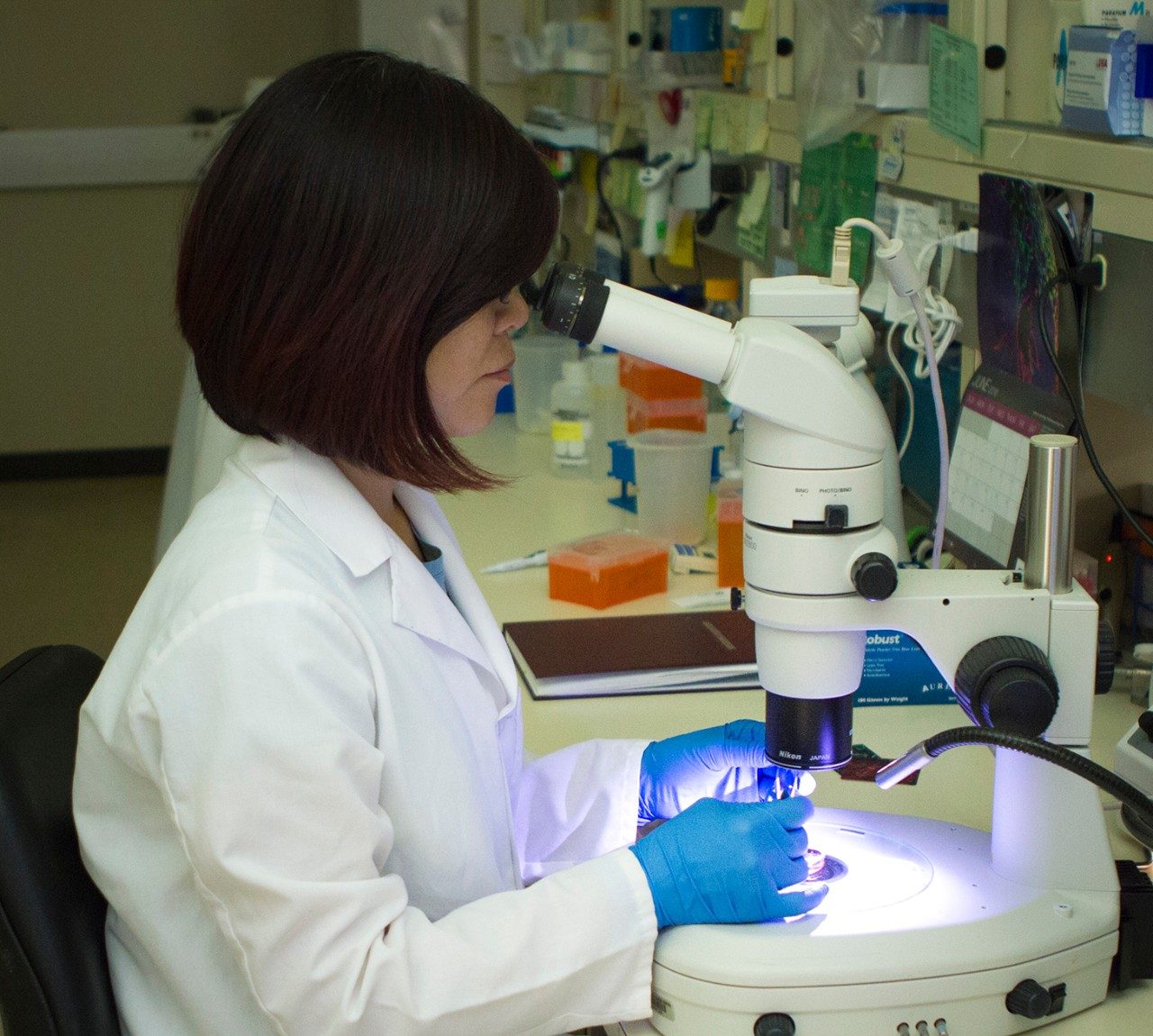 Taiping Chen Lab, Research | MD Anderson Cancer Center