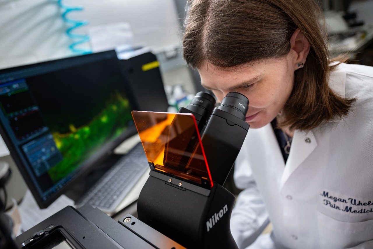 Dougherty Lab Research | MD Anderson Cancer Center