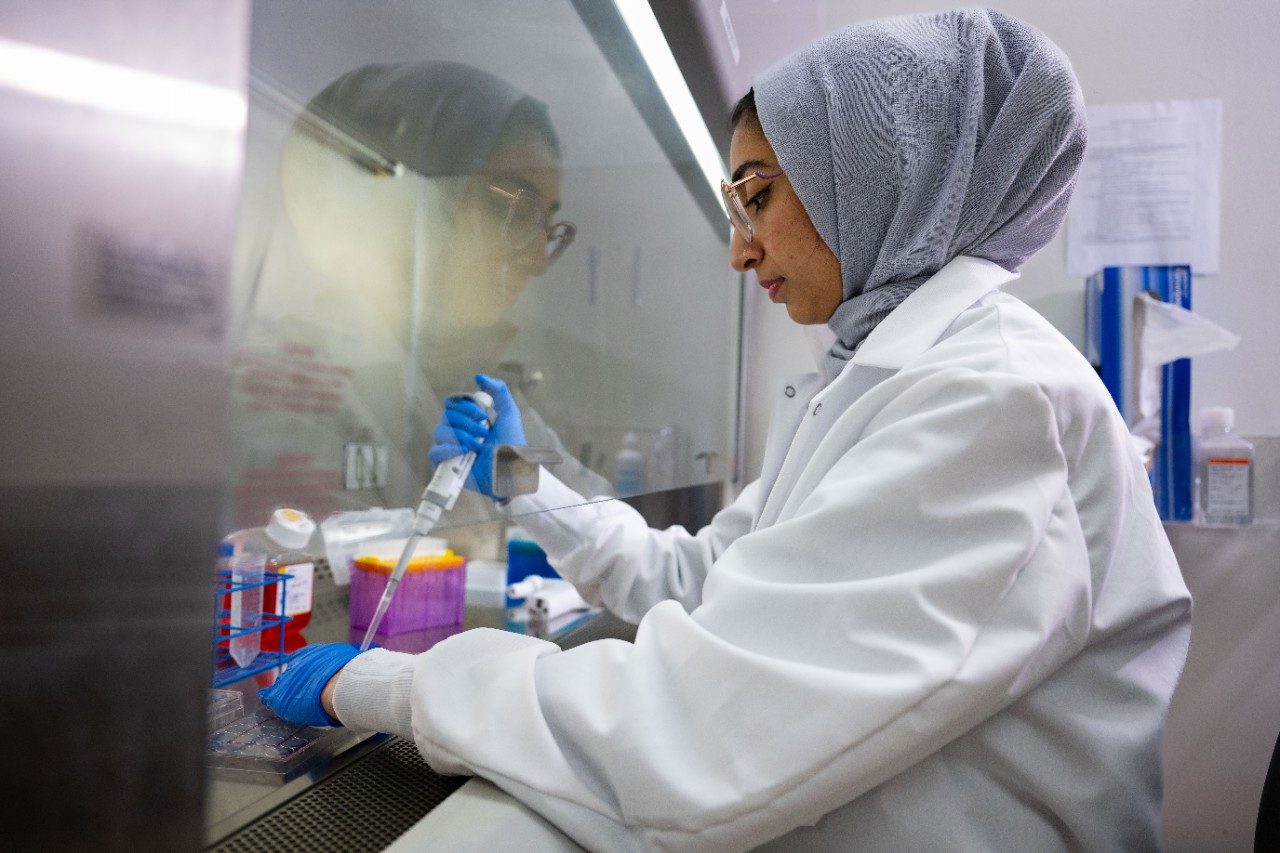 Dougherty Lab Research | MD Anderson Cancer Center