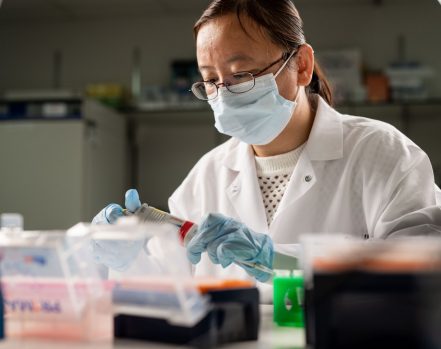 Hui-Lin Pan Laboratory | MD Anderson Cancer Center