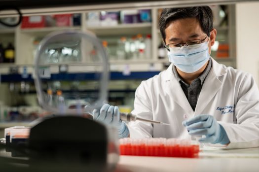 Hui-Lin Pan Laboratory | MD Anderson Cancer Center