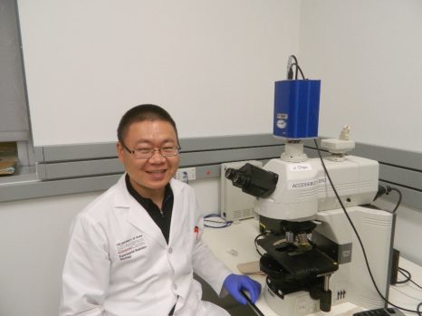 Life in the Chen Lab | MD Anderson Cancer Center