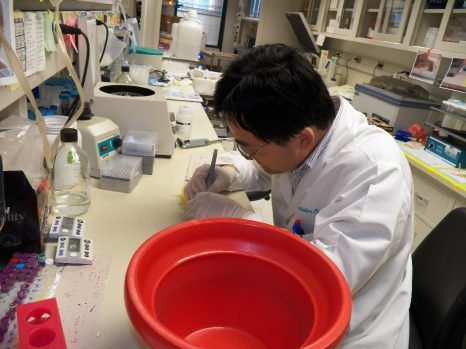 Life in the Chen Lab | MD Anderson Cancer Center