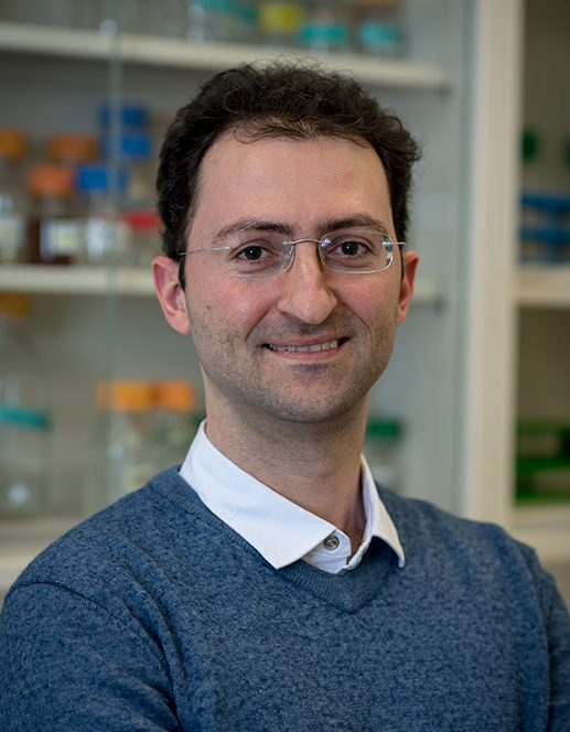 Karras Lab - Lab Members | MD Anderson Cancer Center