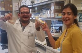 Life in the Karras Lab | MD Anderson Cancer Center