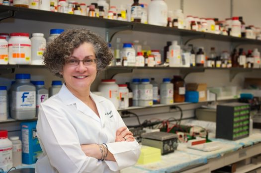 Lozano Laboratory | MD Anderson Cancer Center