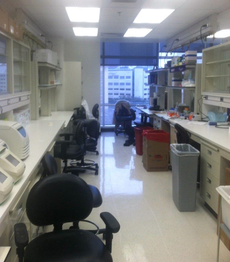McAllister Lab News | MD Anderson Cancer Center