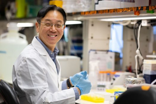 Life in the Michael Wang Lab | MD Anderson Cancer Center