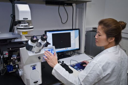 Navin Lab, Genomics, Breast Cancer, Genetics | MD Anderson Cancer Center