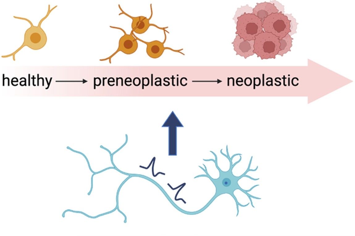 Pan Laboratory Research | MD Anderson Cancer Center