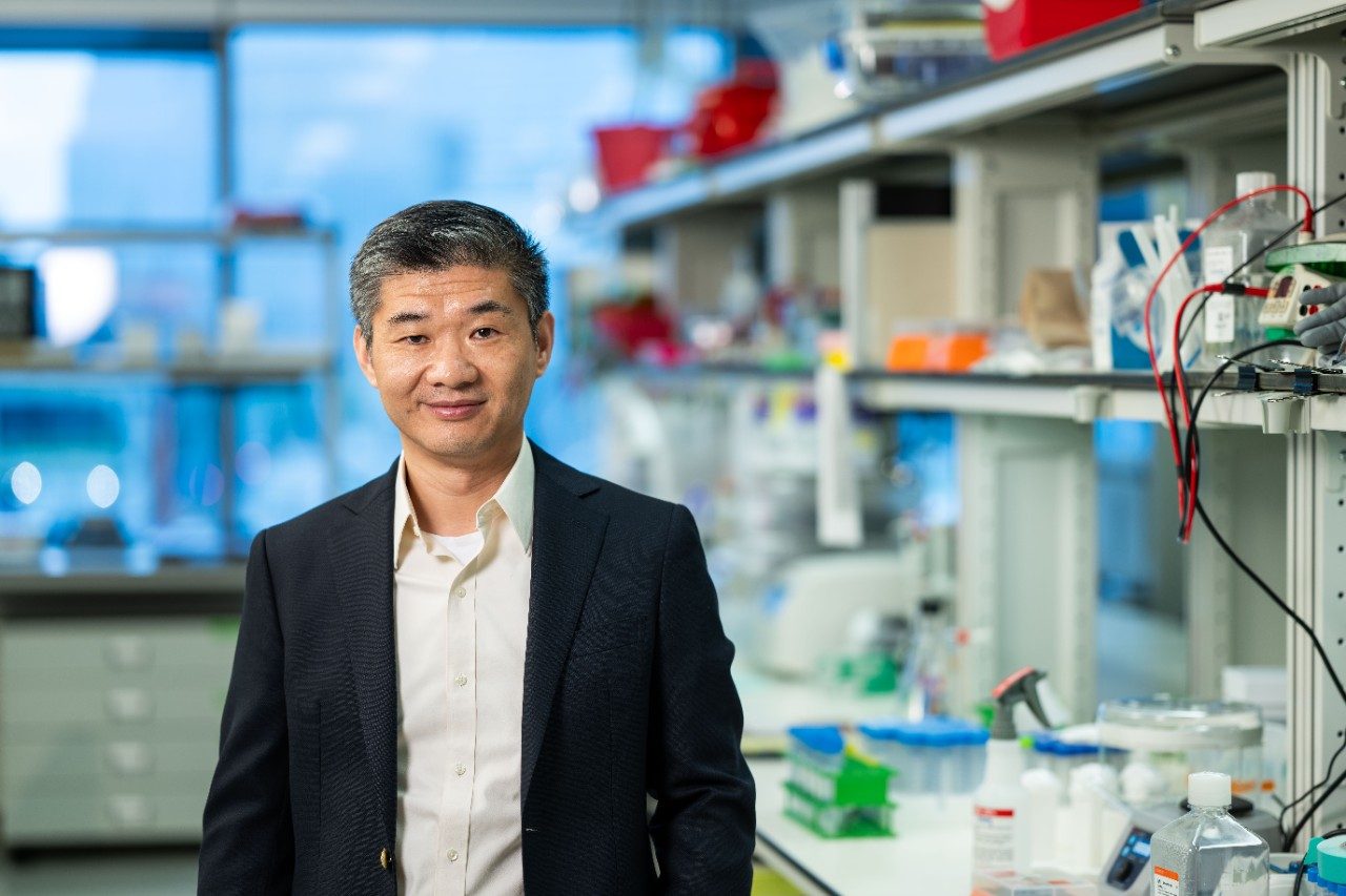 Rugang Zhang Lab Members | MD Anderson Cancer Center