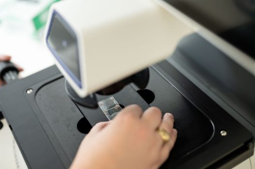 Sharma Lab Members | MD Anderson Cancer Center