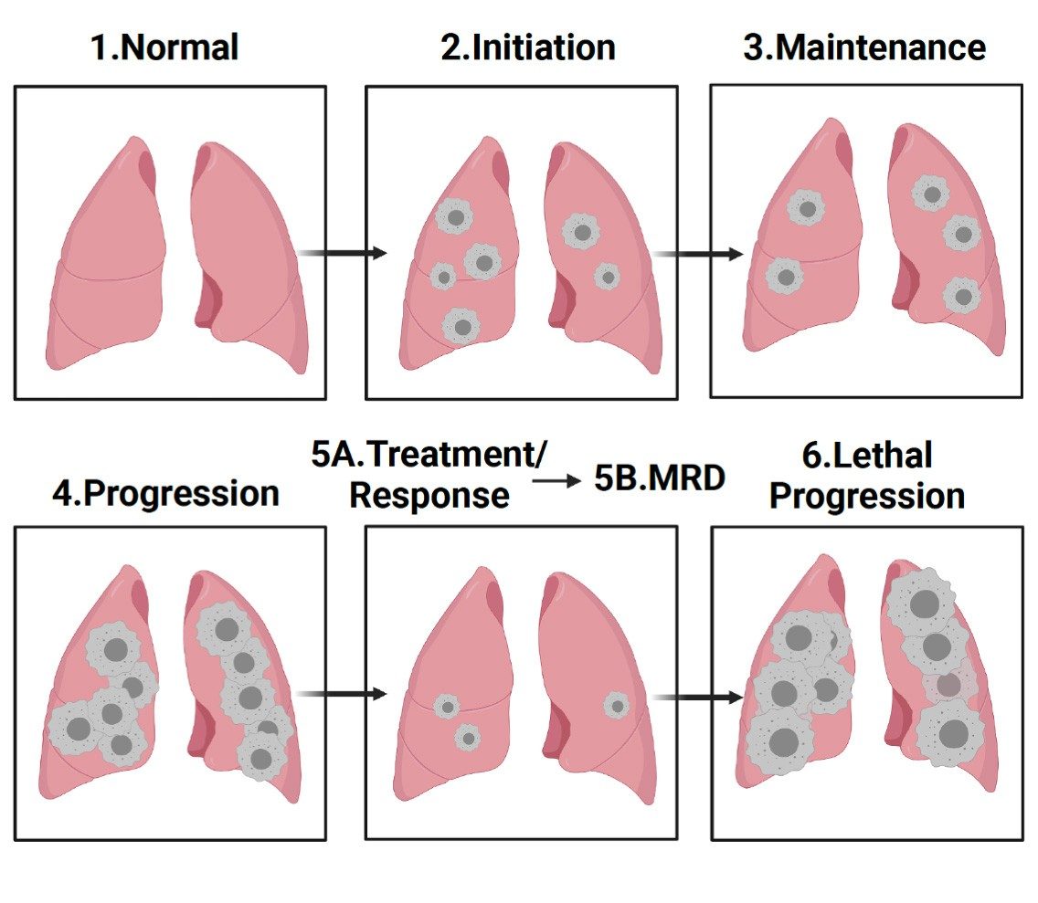 Research in the Vaishnavi Laboratory | UT MD Anderson