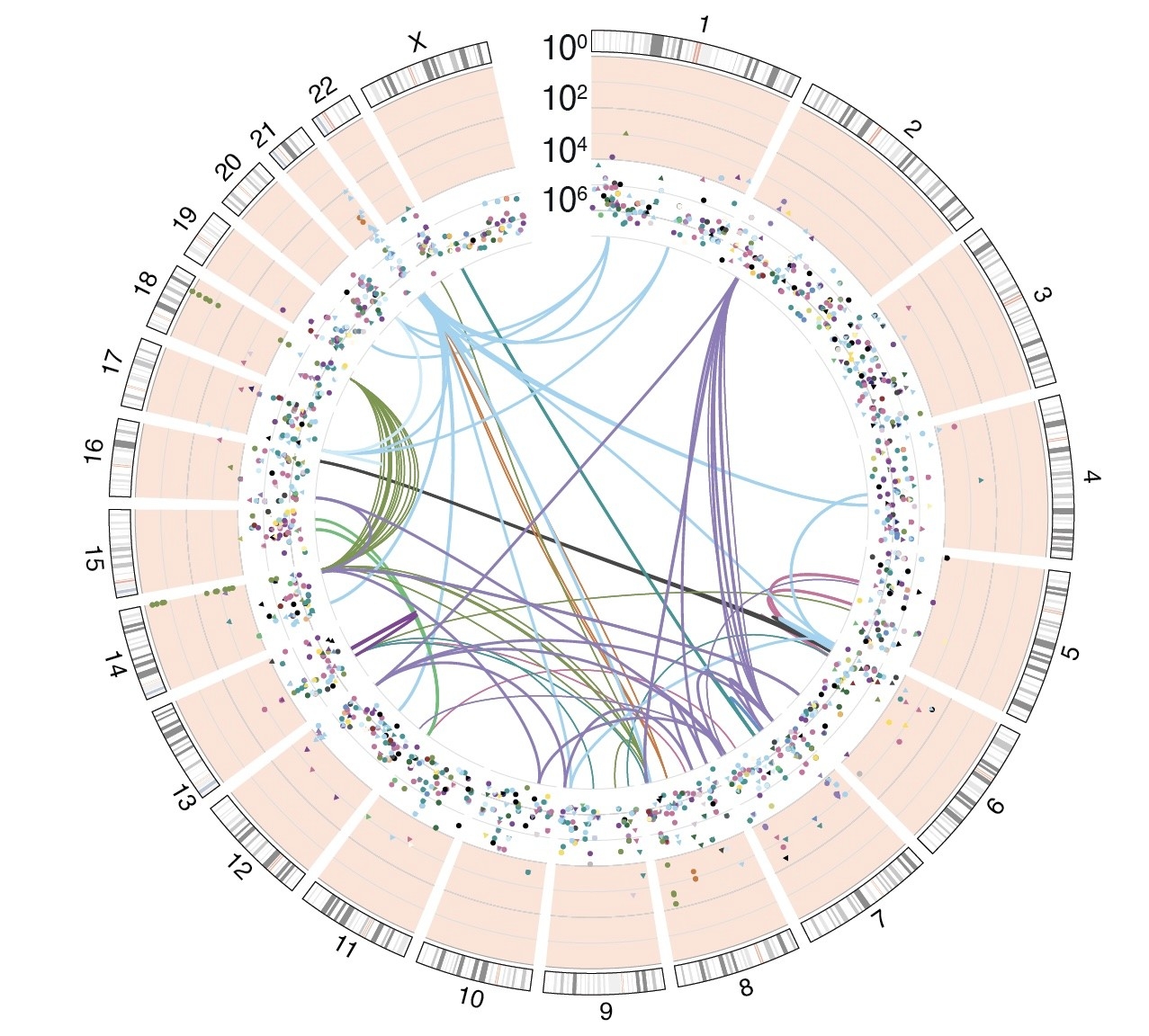 Van Loo Laboratory | MD Anderson Cancer Center