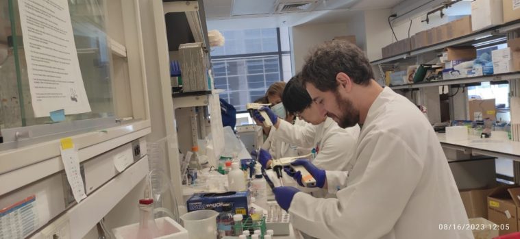 Viroimmunotherapy Laboratory | UT MD Anderson