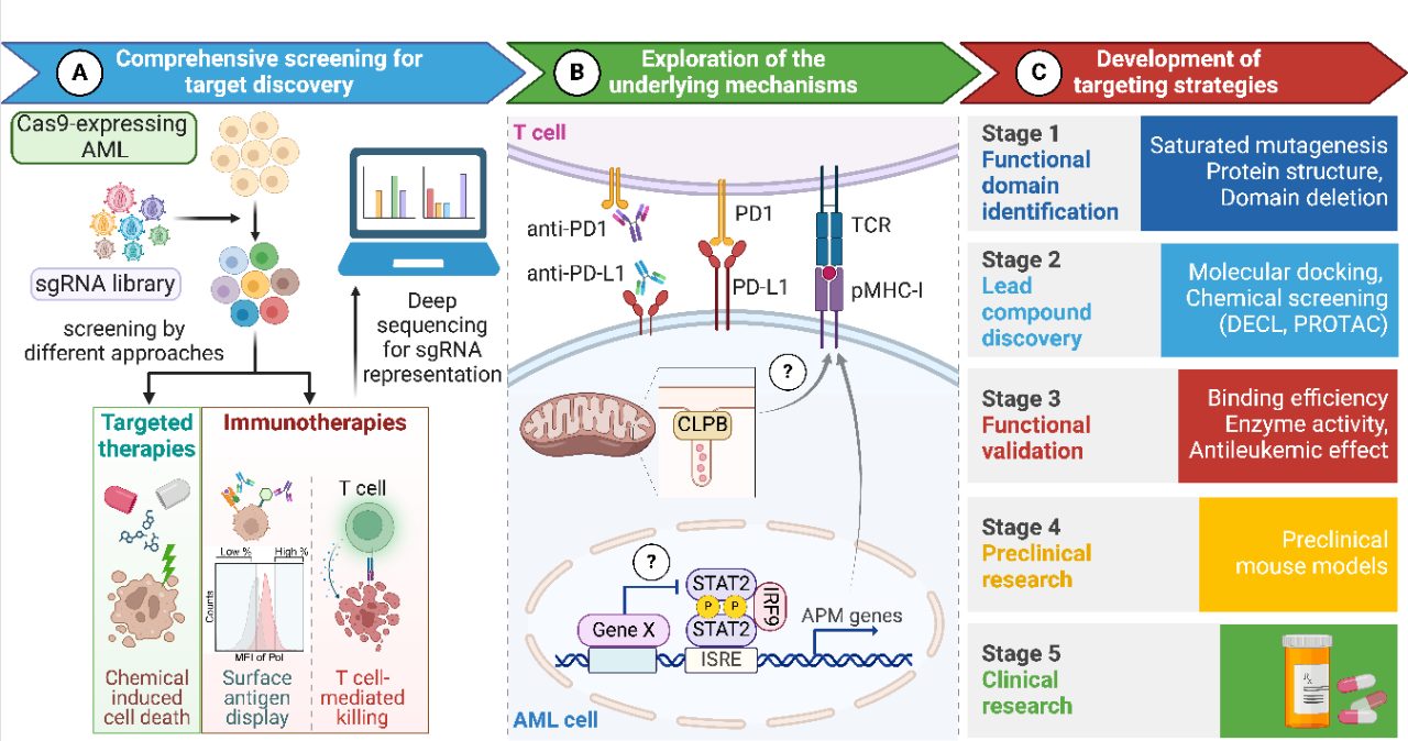 Xufeng Chen Lab Research | MD Anderson Cancer Center