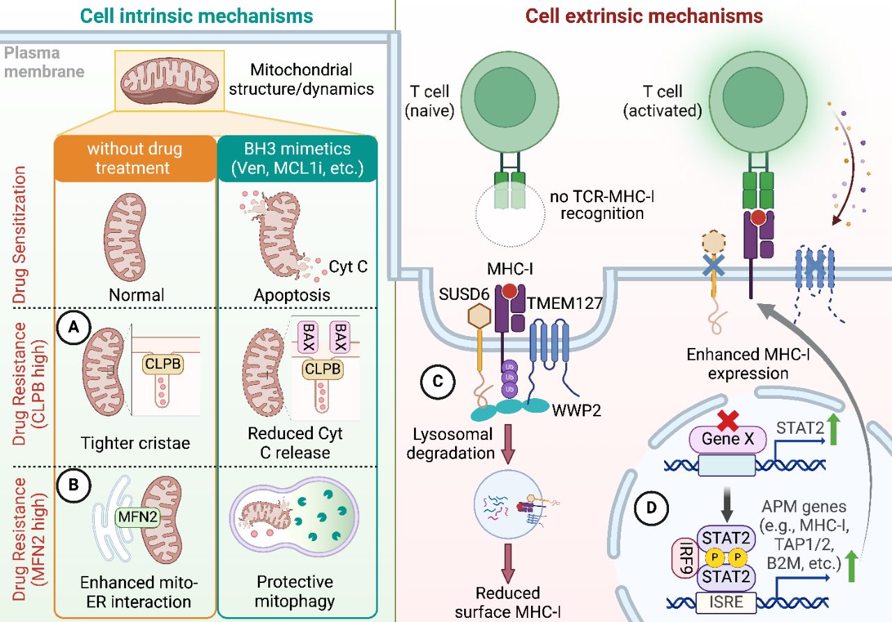 Xufeng Chen Lab Research | MD Anderson Cancer Center
