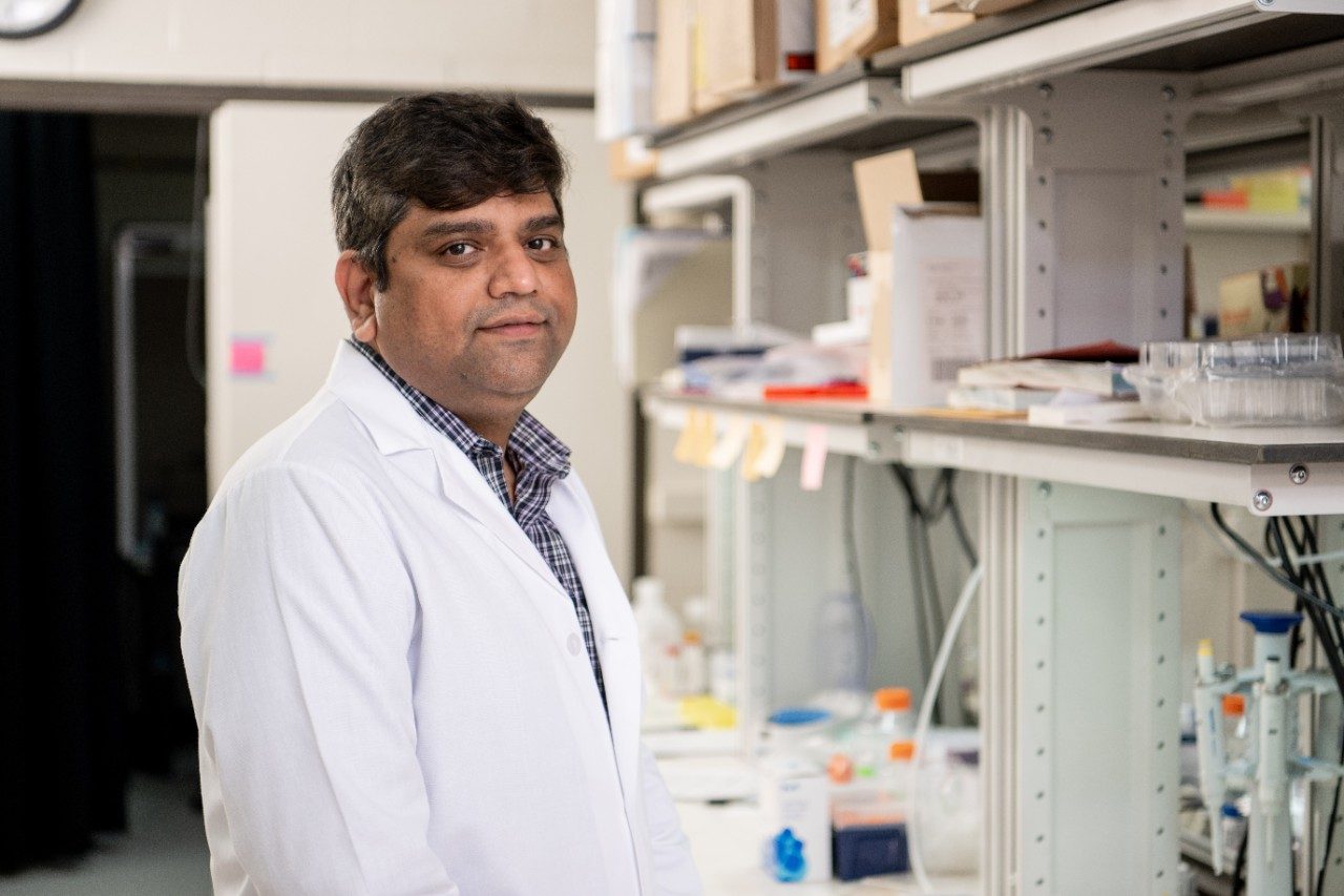 Yan Lab - Lab Members | MD Anderson Cancer Center