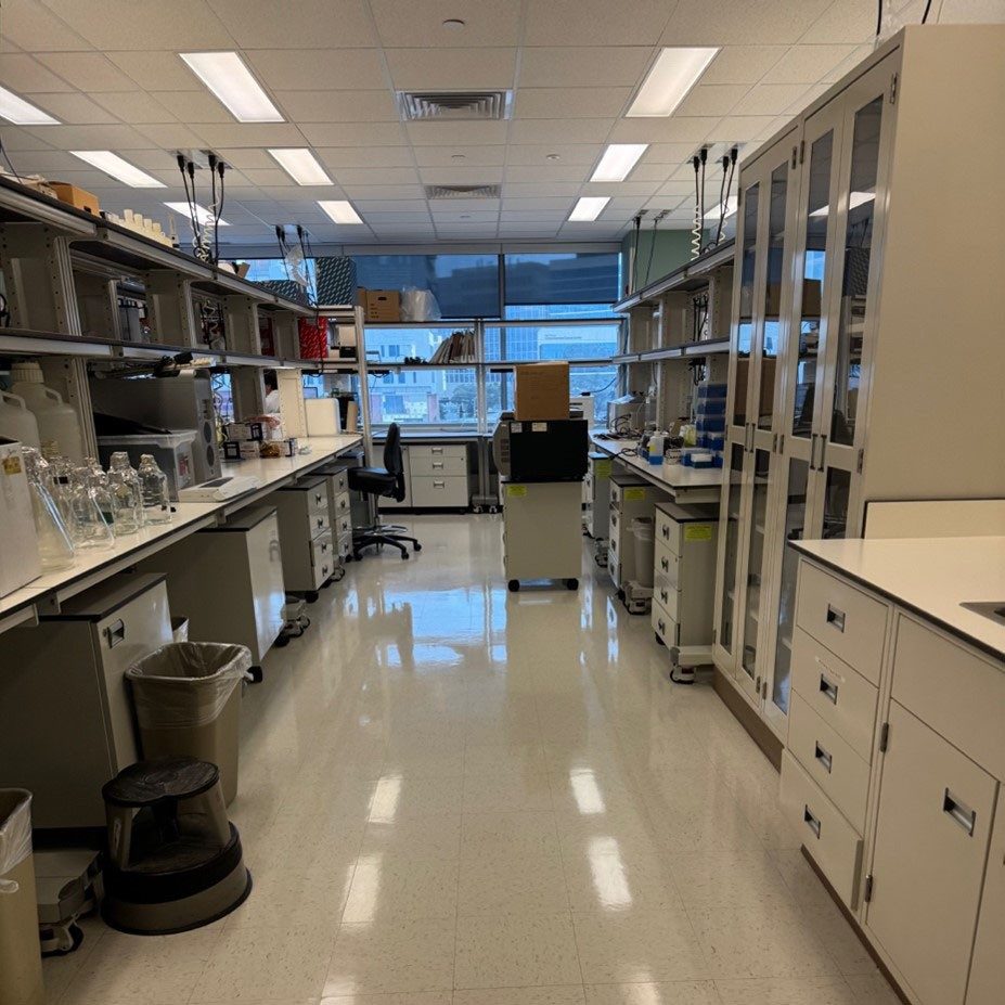 Yoon Lab News & Media | MD Anderson Cancer Center