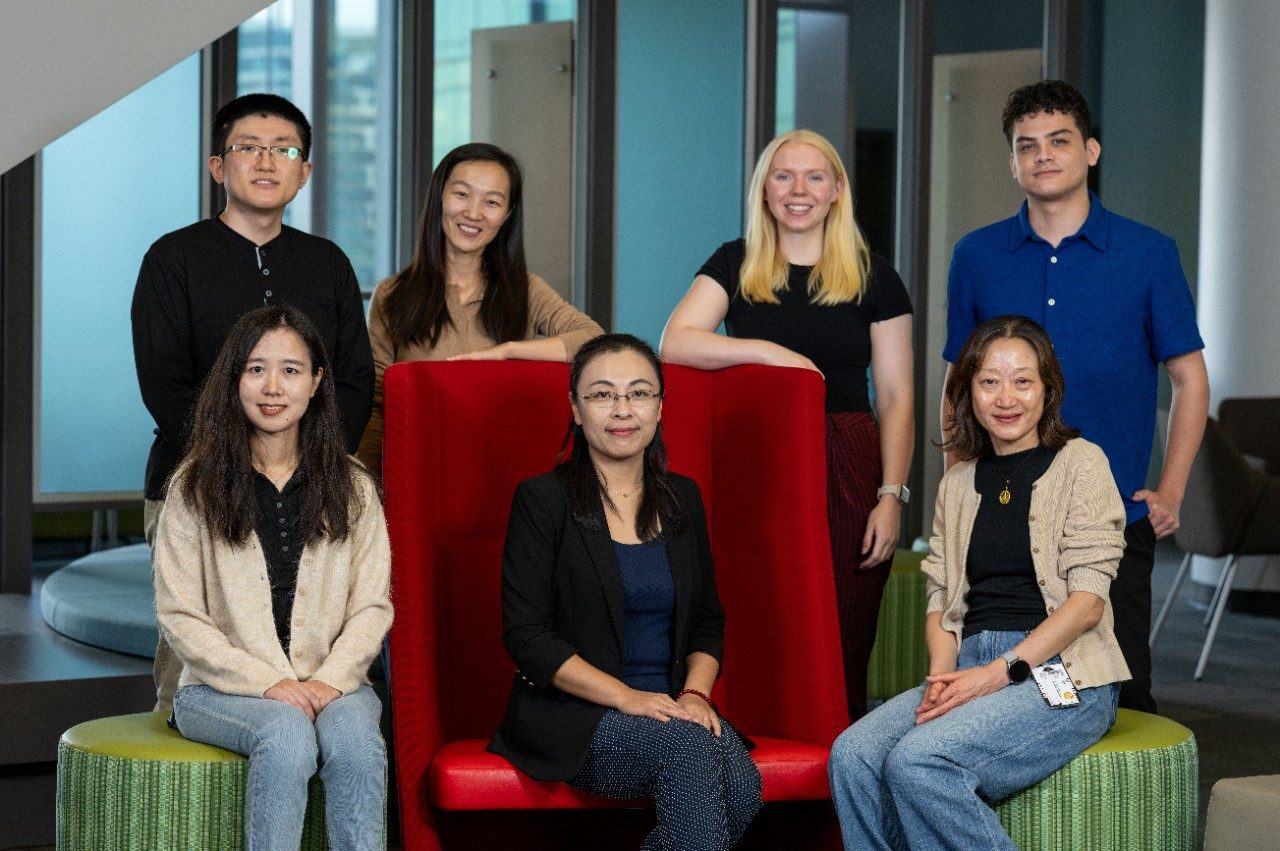 Join the Zhao Lab | MD Anderson Cancer Center