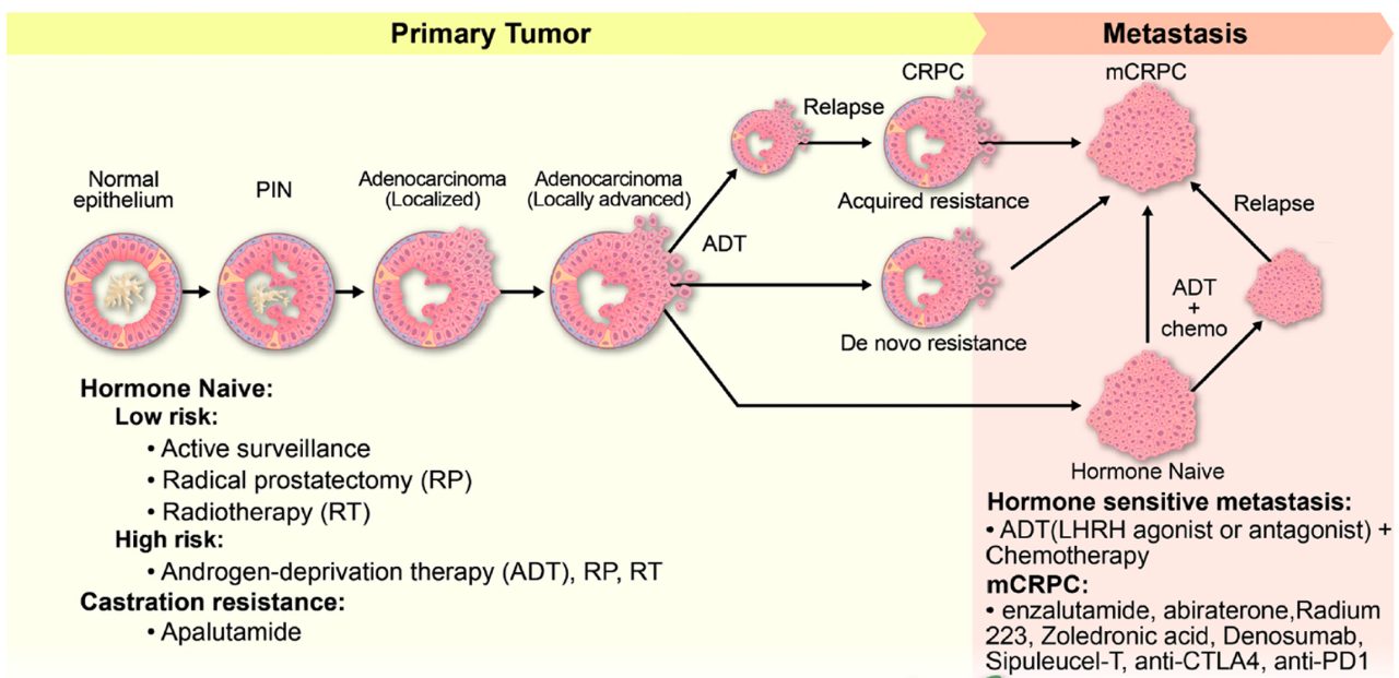 Zhao Laboratory Research | MD Anderson Cancer Center