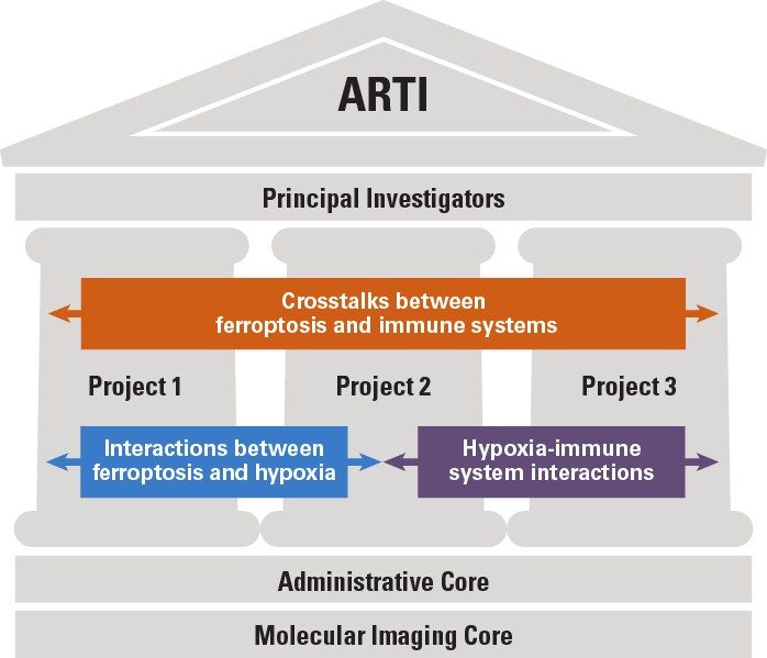 ARTI Center Research | UT MD Anderson