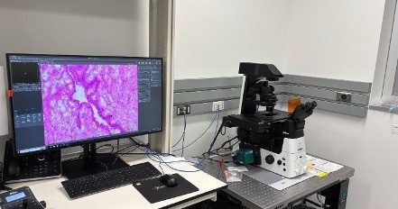 Advanced Spatial Genomics Core Instrumentation | MD Anderson Cancer Center