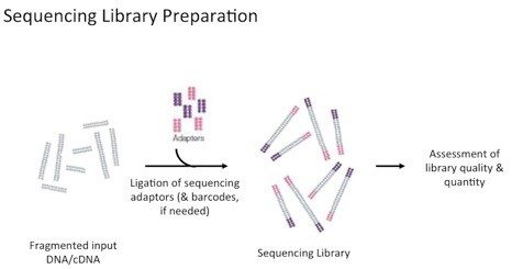 Next-Generation Sequencing Services | MD Anderson Cancer Center
