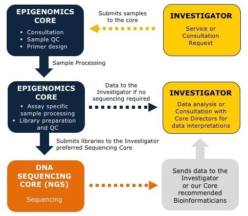 About the Epigenomics Profiling Core | MD Anderson Cancer Center