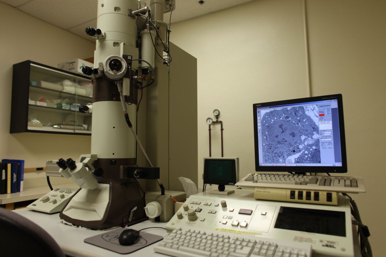 High Resolution Electron Microscopy Facility - Equipment | MD Anderson ...