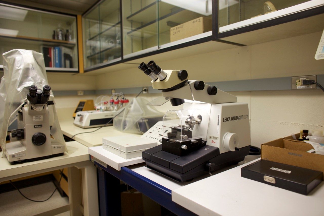 High Resolution Electron Microscopy Facility - Equipment | MD Anderson ...