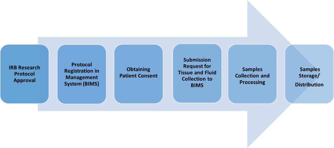 Institutional Tissue Bank Resources | MD Anderson Cancer Center