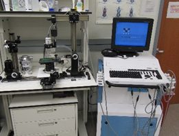 Small Animal Imaging Facility Instrumentation | MD Anderson Cancer Center