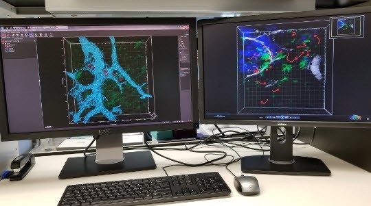 Subcellular Imaging Resource Instrumentation | MD Anderson Cancer Center