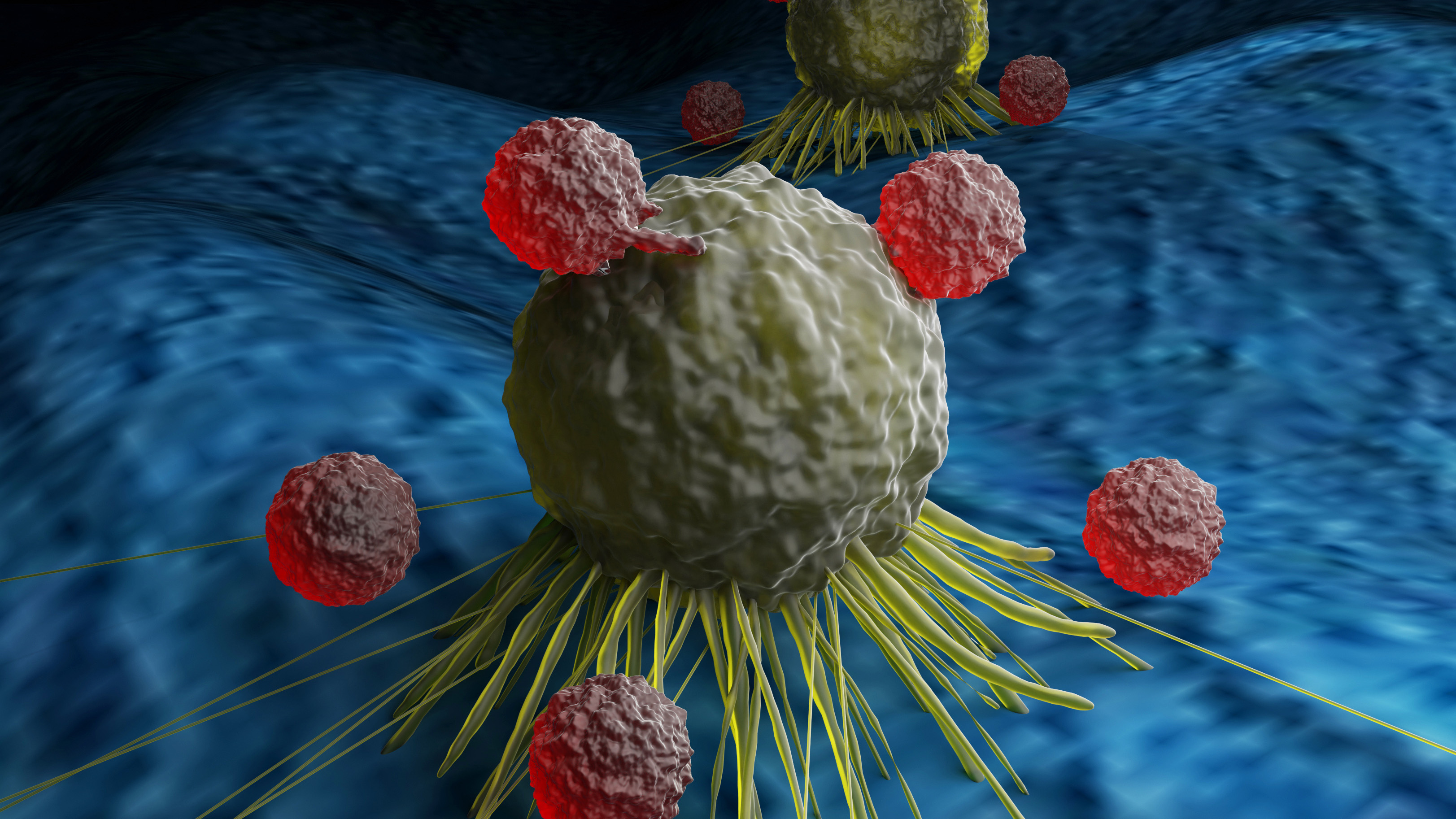 Novel T cell receptor therapy afami-cel shows early anti-tumor activity ...