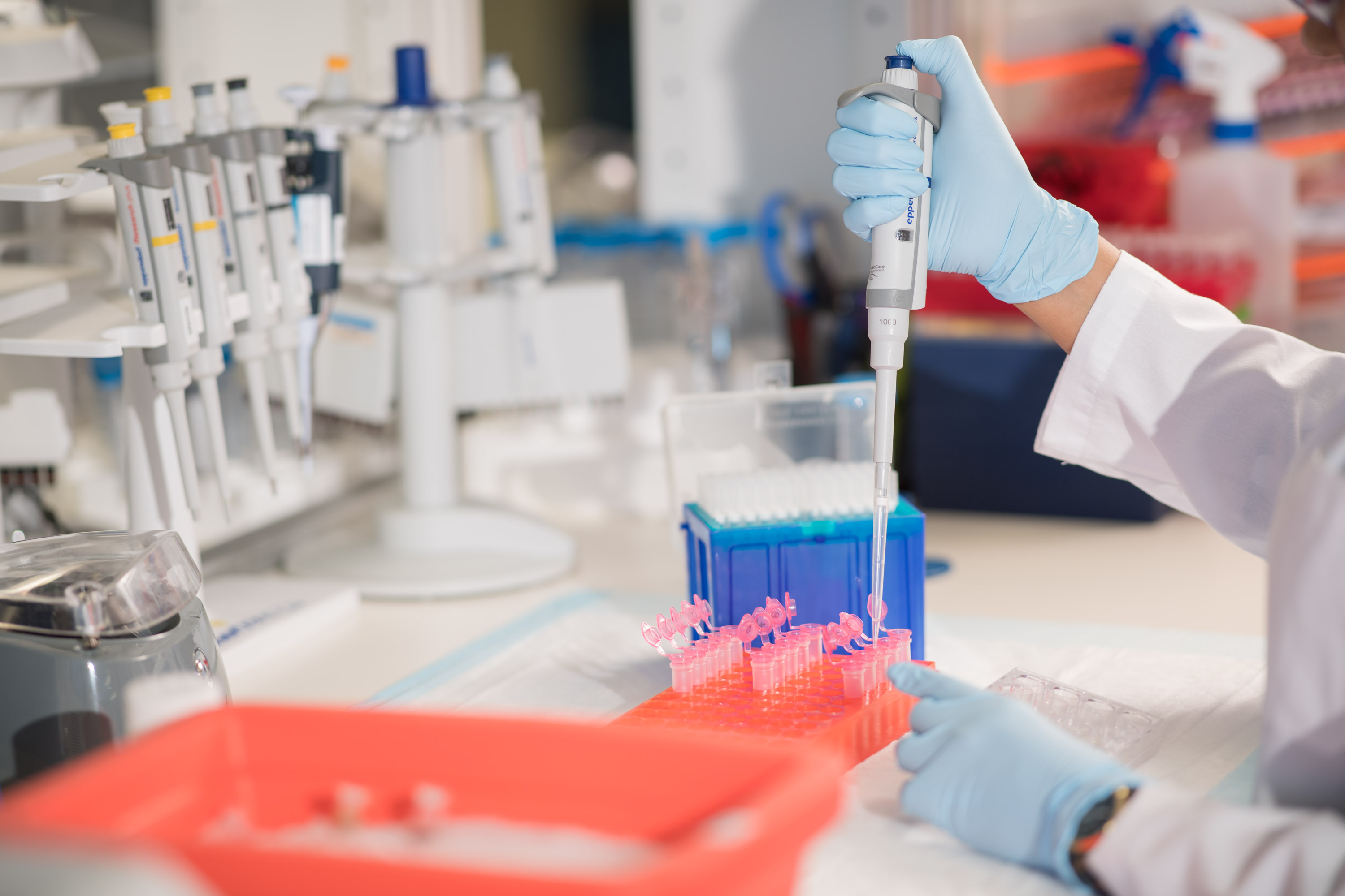 MD Anderson Newsroom | MD Anderson Cancer Center