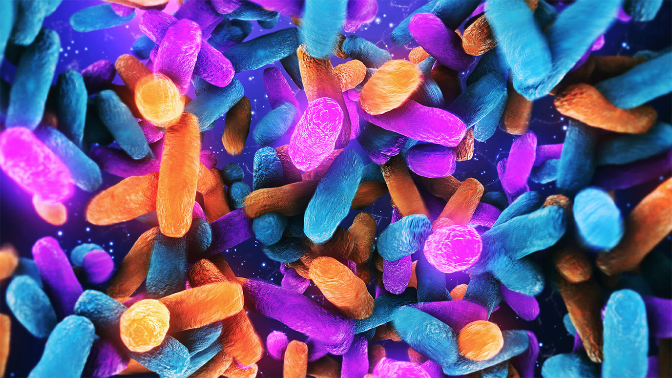 Microbiome therapy collaboration to improve immunotherapy responses ...