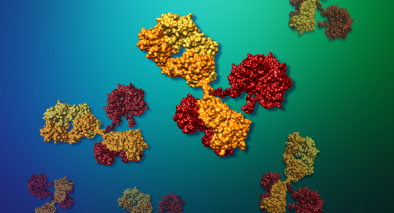 Global Bispecific Antibodies in Oncology Market $45.7 Billion by 2033