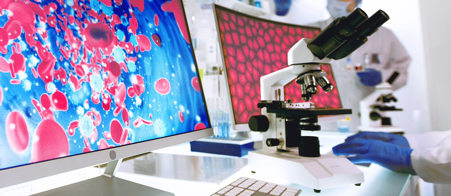 Stem cell groups drive myelodysplastic syndromes and potential targeted ...