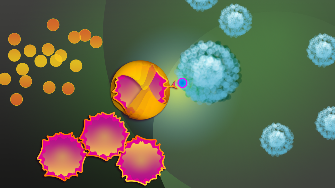 CD19 CAR NK-cell therapy achieves 73% response rate in patients with ...